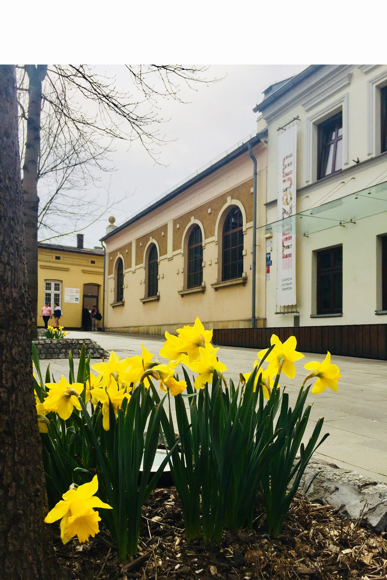 In the Shadow of Tragedy: Life After Columbine : Museum of Jewish ...