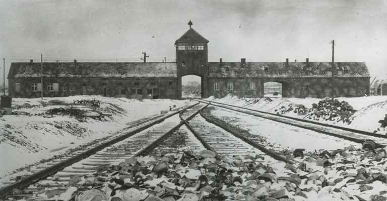 Auschwitz History: An Introduction