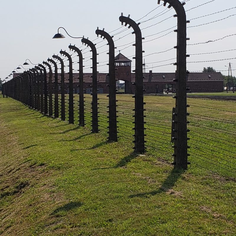Seeking Silence in Auschwitz | Museum of Jewish Heritage — A Living ...