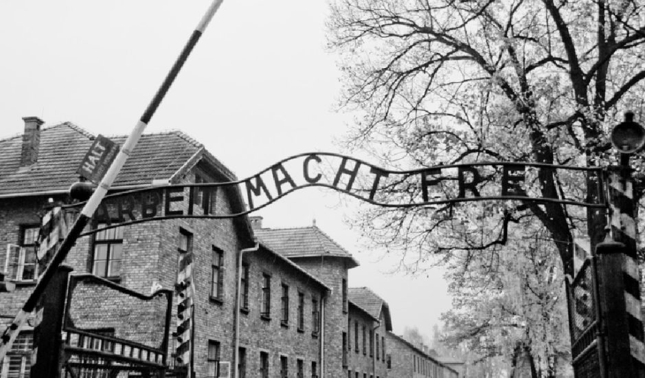 Auschwitz-Public-Domain-01 : Museum of Jewish Heritage — A Living ...
