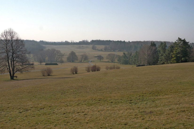 Remembering Lidice, 78 Years Later | Museum of Jewish Heritage