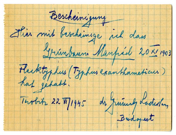 Post-Liberation Battles: Surviving Typhus | Museum of Jewish Heritage