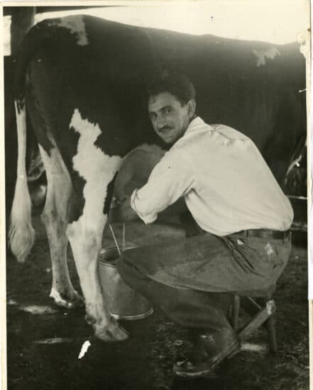 2008_P_63_dm1_Farmer-milking-cow : Museum of Jewish Heritage — A Living ...