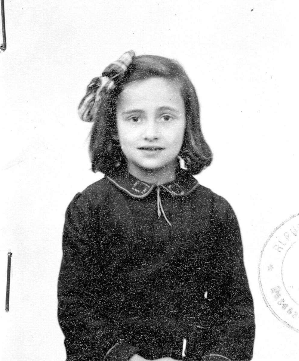 Love Brought Me Through the Holocaust: Stories Survive with Judith ...